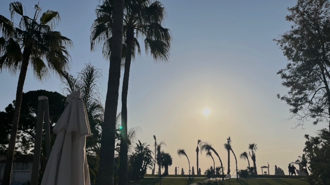 Как делать правильные выборы в жизни, чтобы о них потом не жалеть