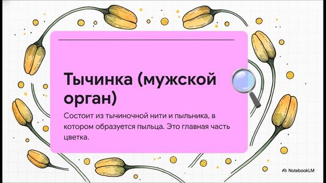 Биология 6 класс параграф 14 СТРОЕНИЕ И РАЗНООБРАЗИЕ ЦВЕТКОВ краткий пересказ