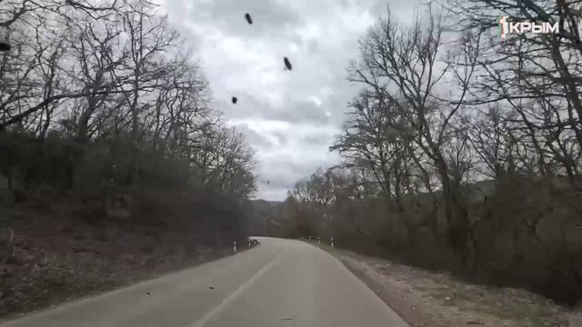 Крымское счастье Олеси Лищук