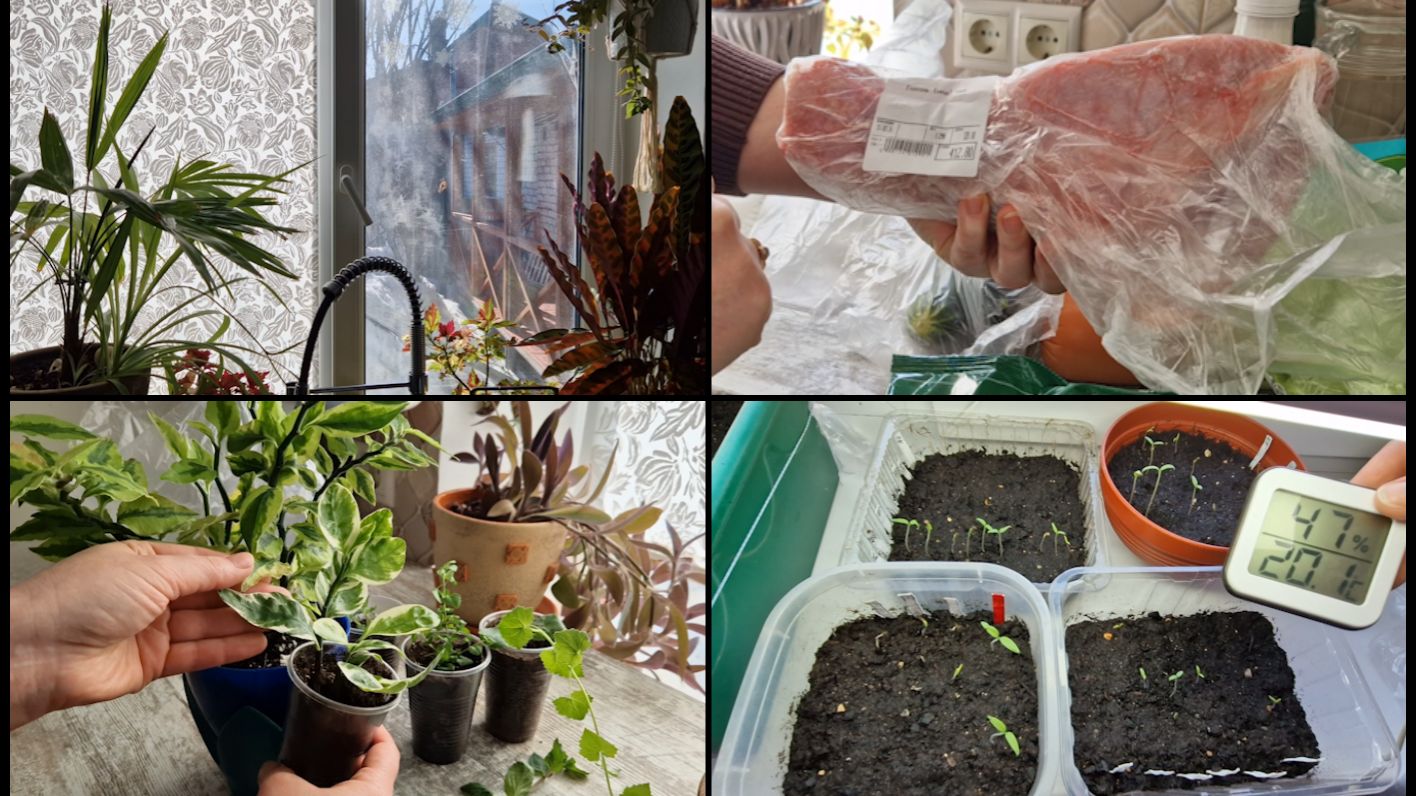 Воскресенье. Покупки. Подарки. Рассада. Дела. ч1