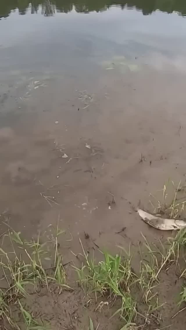 Весенняя щука на спиннинг !