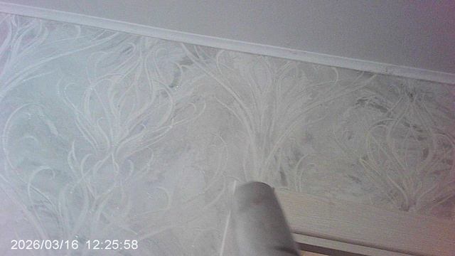 Технологии уборки: для уборки паутины из угла потолка и стены рекомендую использовать пылесос.