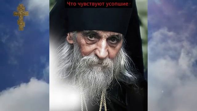Могут ли умершие видеть и чувствовать нас Проповедь священника