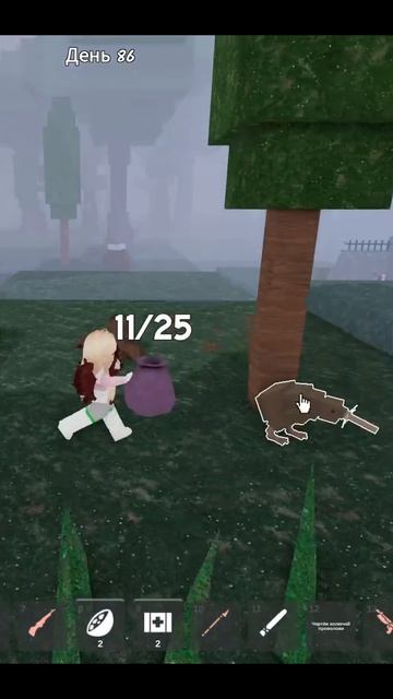 Где найти дробовик в 99 ночей?