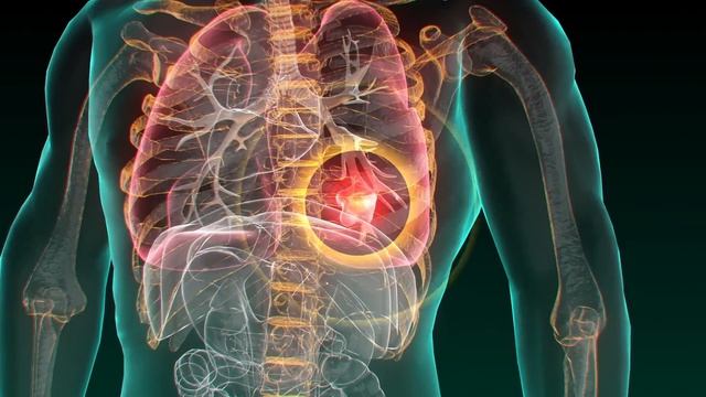 ВЕЙПЫ - МОДНЫЙ ЯД | АРИНА БАРЫШЕВА