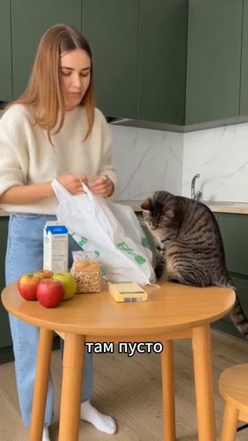 Где моя вкусняшка? 😺