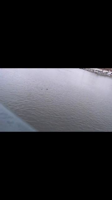 Чехия, Прага. Часть 3. Карлов мост