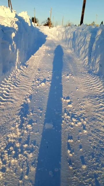 За зиму снега навалило. Почистили трактором в марте переулок