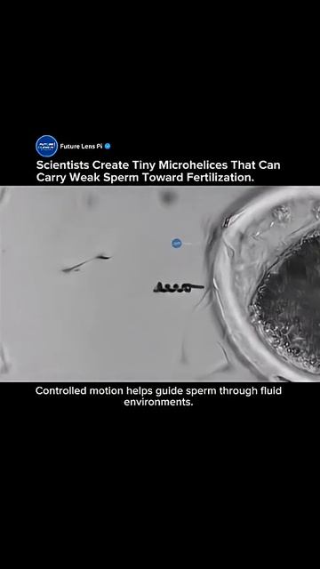 Ученые создали микромоторы, переносящие сперматозоиды