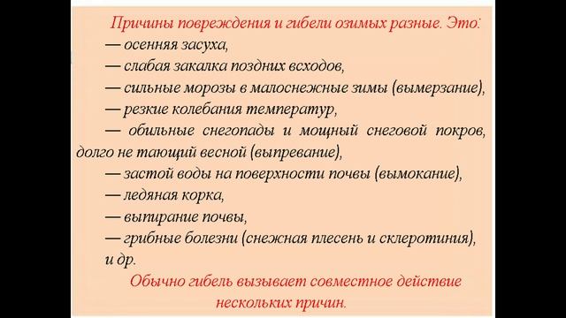 Комплектование МТА - 17.03. 231 группа