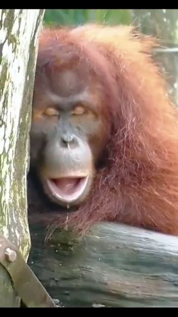 Встречаем утро