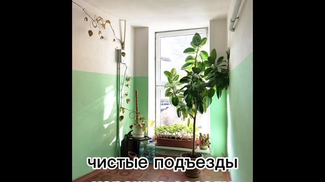 Улица Брамса, 23 – Калининград, «Золотой треугольник» (Амалиенау)