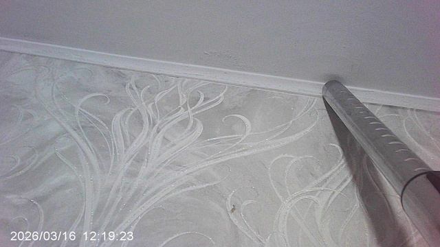 Технологии чистоты: уборка паутины между потолком и стеной