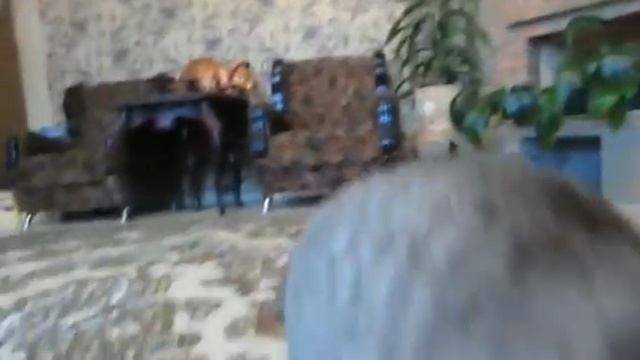 сборник пранков от а ну ка давай ка