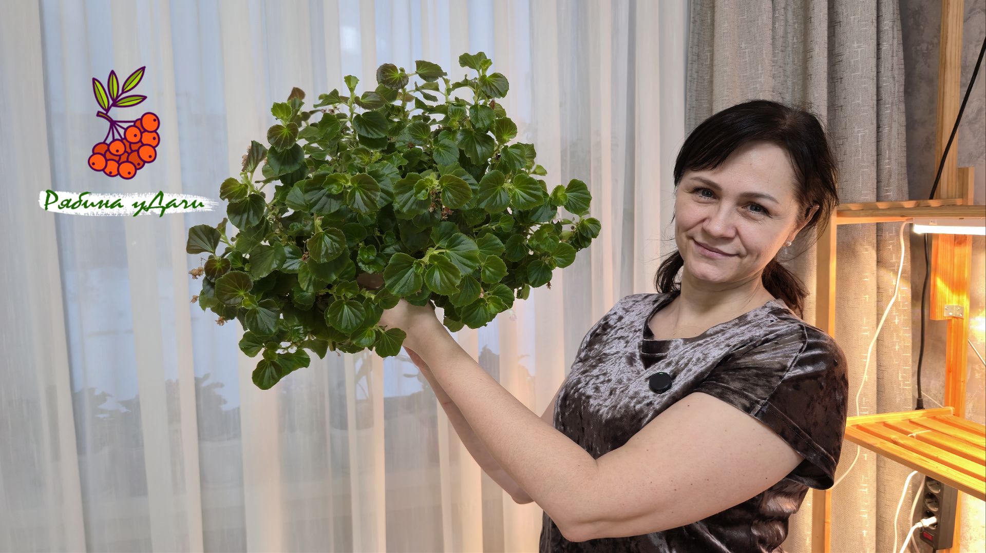 ЖДЁМ ВЕСНУ В СИБИРИ / ПОДСТРИГЛИ СПАНИЕЛЯ  / ПЕЧЁМ БАТОН ПО НОВОМУ / СЕЕМ РАССАДУ