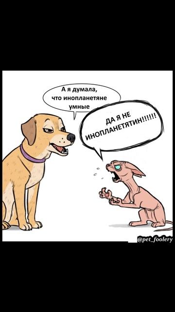 Вринклз - инопланетянин. Пикси и Брут