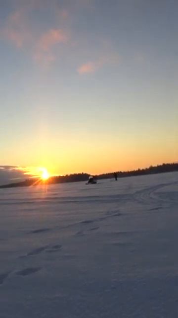 Порка рыбы на восходе Арктического солнца shorts