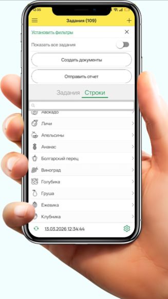 QCMS Контроль качества фруктов и овощей
