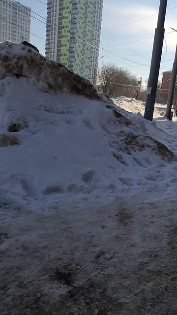 №1726 ул. Героев Хасана. 14 марта 2026 г., 12:52:46 VID_20260314_125041398