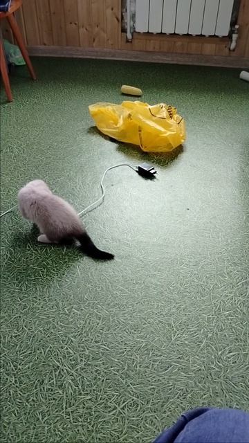 Юный электрик