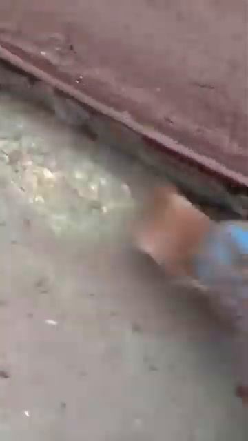 Как правильно шкрябать катер Прогрес-4 Shorts