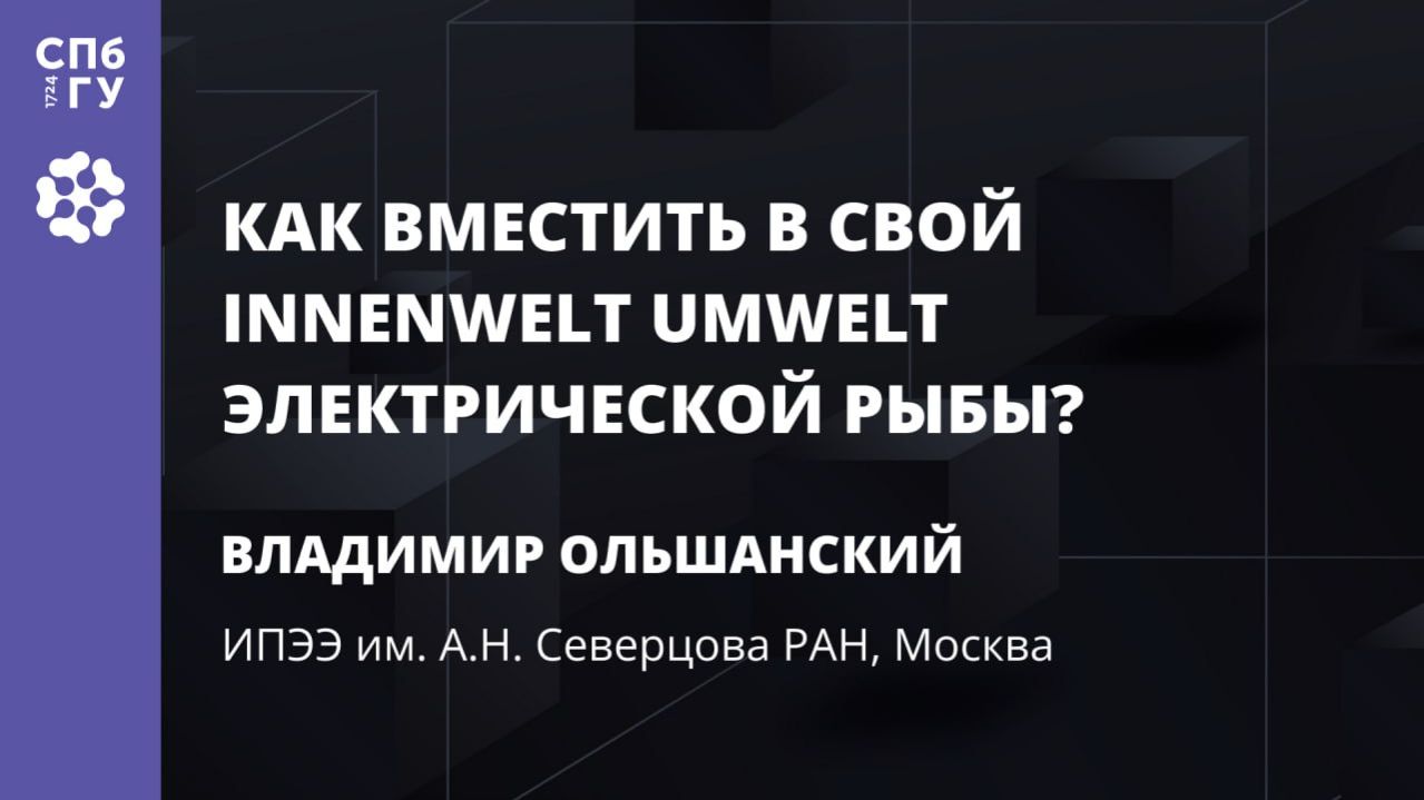 Владимир Ольшанский «Как вместить в свой Innenwelt Umwelt электрической рыбы?»