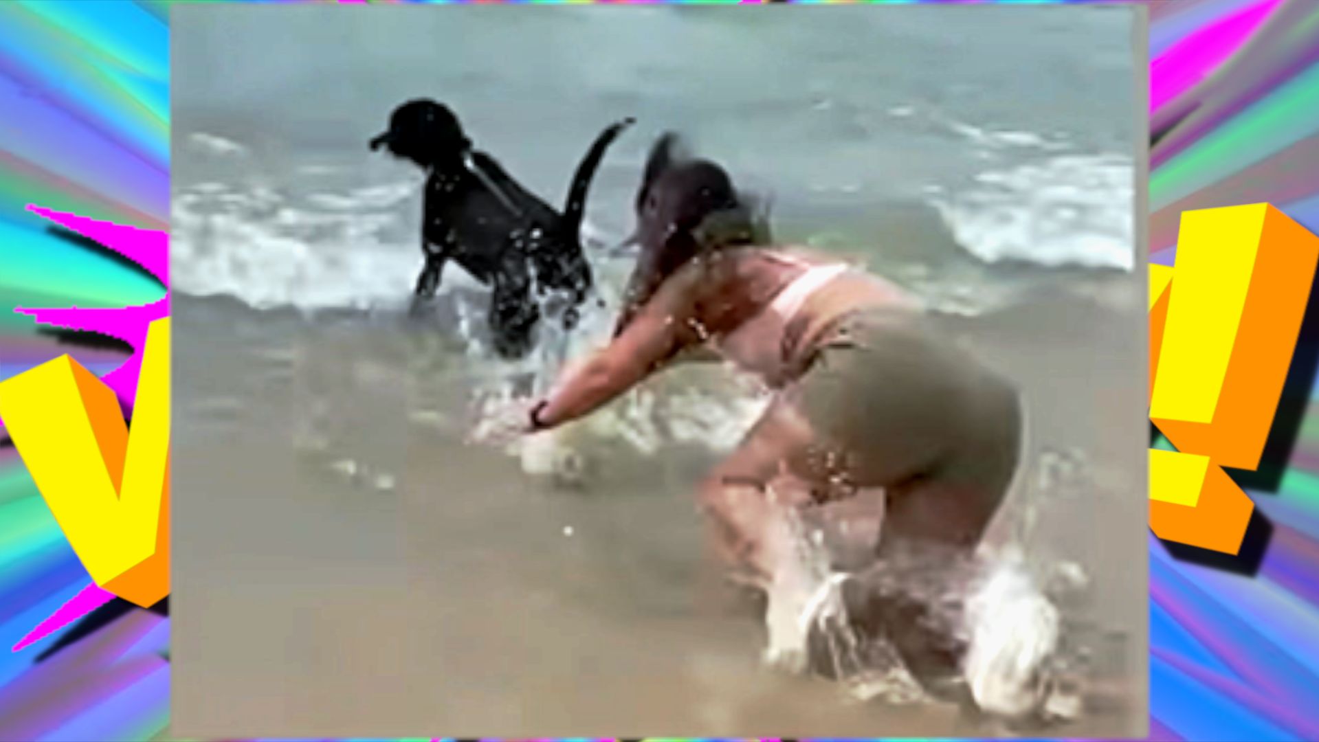 ПРИКОЛЫ НА КАЖДЫЙ ДЕНЬ: СМЕШНЫЕ ВИДЕО ДЛЯ ПОДНЯТИЯ НАСТРОЕНИЯ