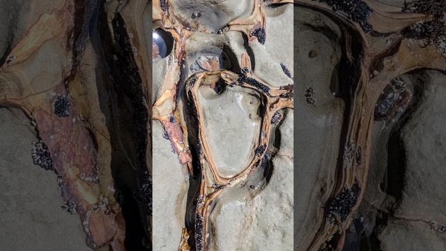 Вселенский сценарий: Паттерны существования