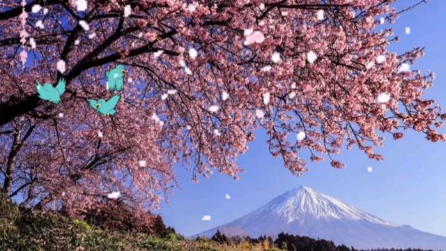 Весна по японски.