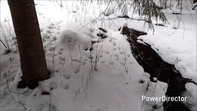 Нива Тревел /// Фотоохота удалась!