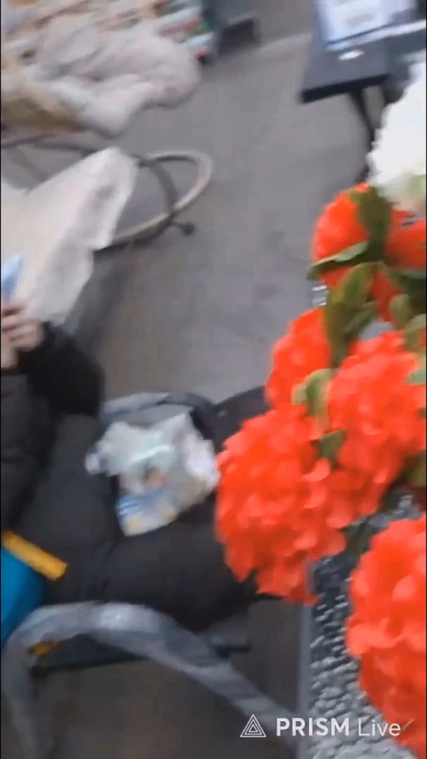 Чековая Мафия: Igor Petrovich And Ekaterina Sergeevna-Love Forever-Любовь Навсегда(16.03.2026)