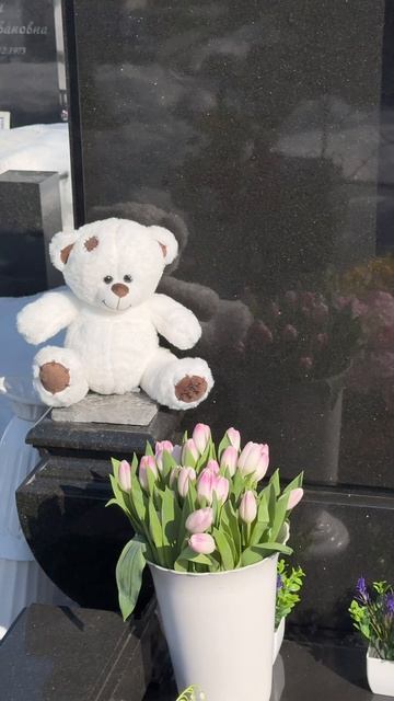 Как сегодня выглядит могила Юлии Началовой / 16 марта 2026 Троекуровское кладбище