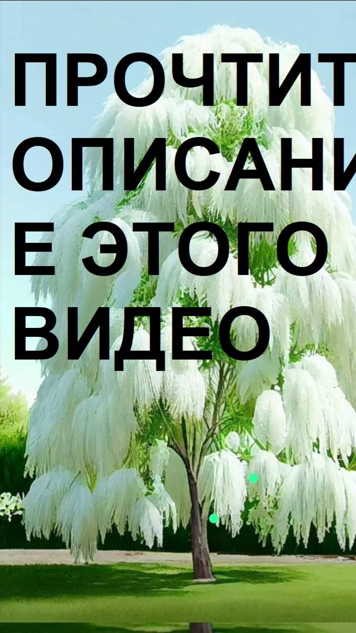 главное текст, в описании этого видео, возможно это вам нужно, 1