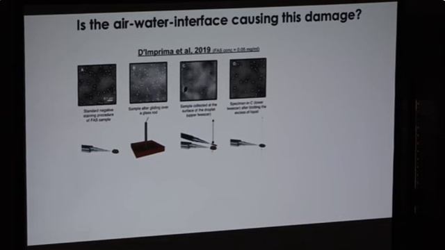 вторая часть крио оптимизации протокола