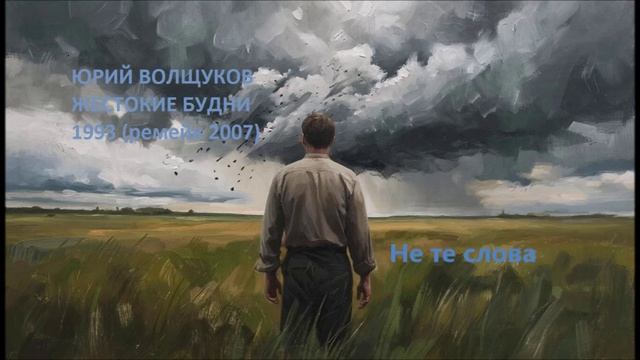 Юрий Волщуков Не те слова
