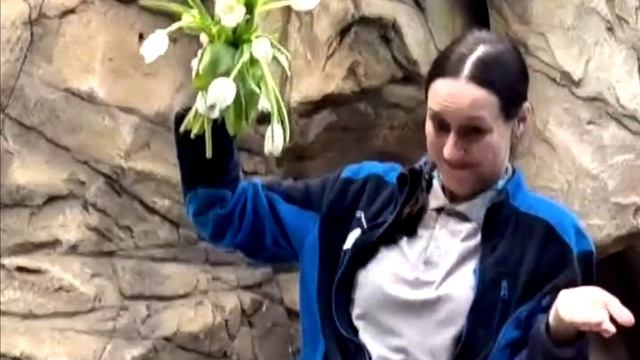 Выдру поздравили с 8 Марта