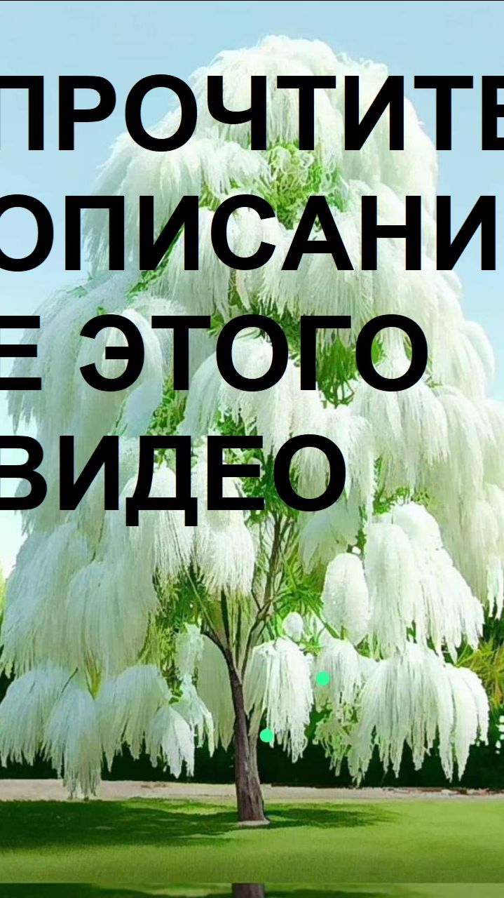 гусли, Москва, прочтите описание видео, адвокат, изучение английского языка, нужно обращайтесь