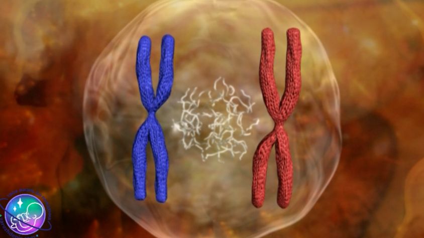 2026-03-16 Чудо жизни и 6 удивительных фактов