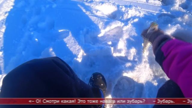 16.03.2026 Сахалинские блоги. НА РЫБАЛКУ С ЛЕ. Зубарь попёр