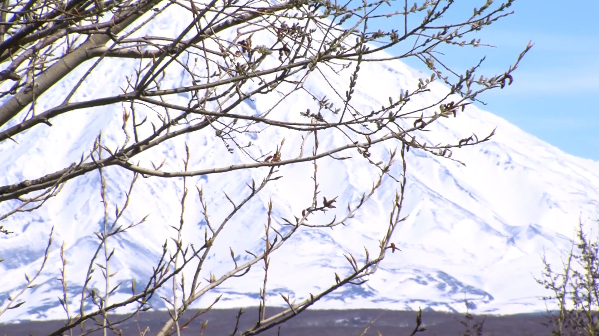 ОГНЕДЫШАЩИЙ ВУЛКАН