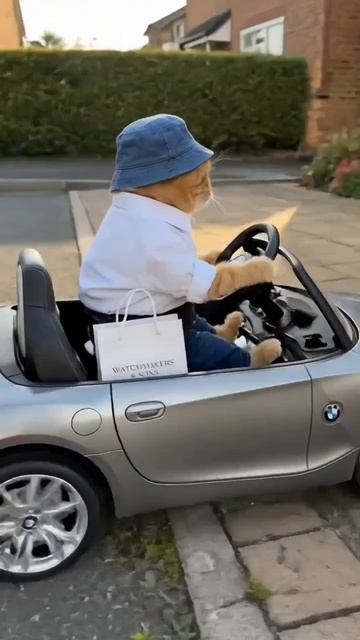 Первые часы шерстяного