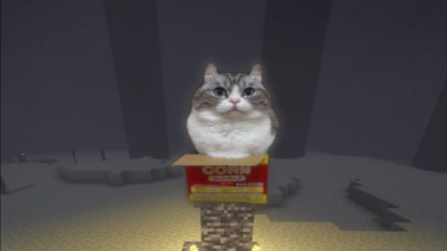 Оценка двух каналов это Фанат Дабл Бабл 🥑🥑🥑🥑 и Таунт