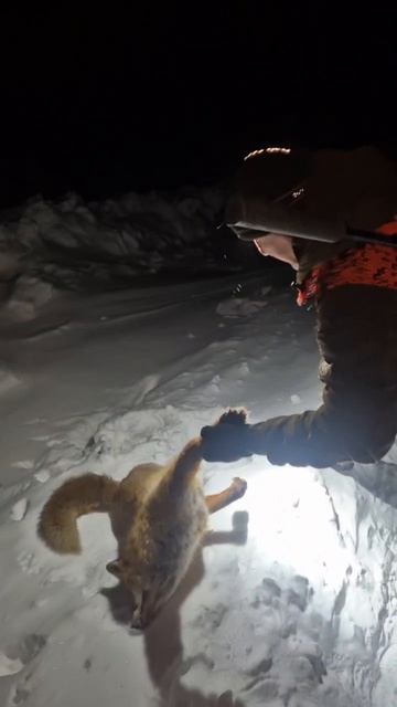 Что лучше взять — гляделку или прицел?