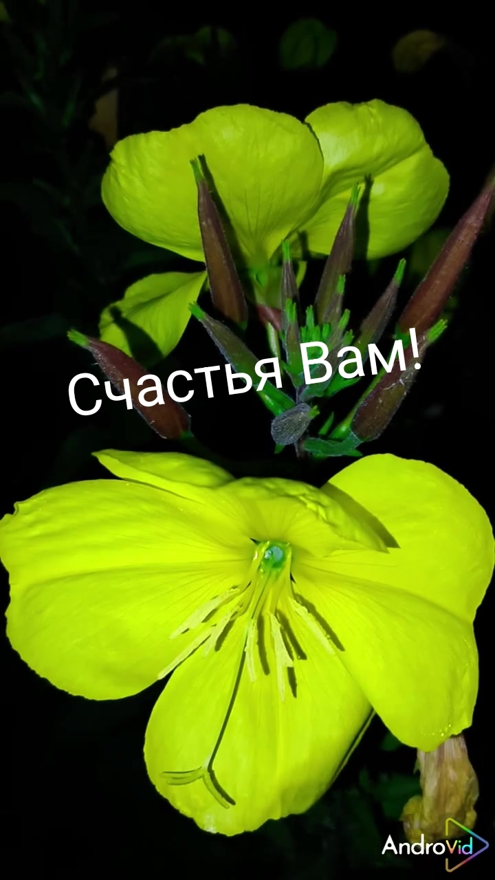 Счастья, всем! ❤️ 16-03-2026