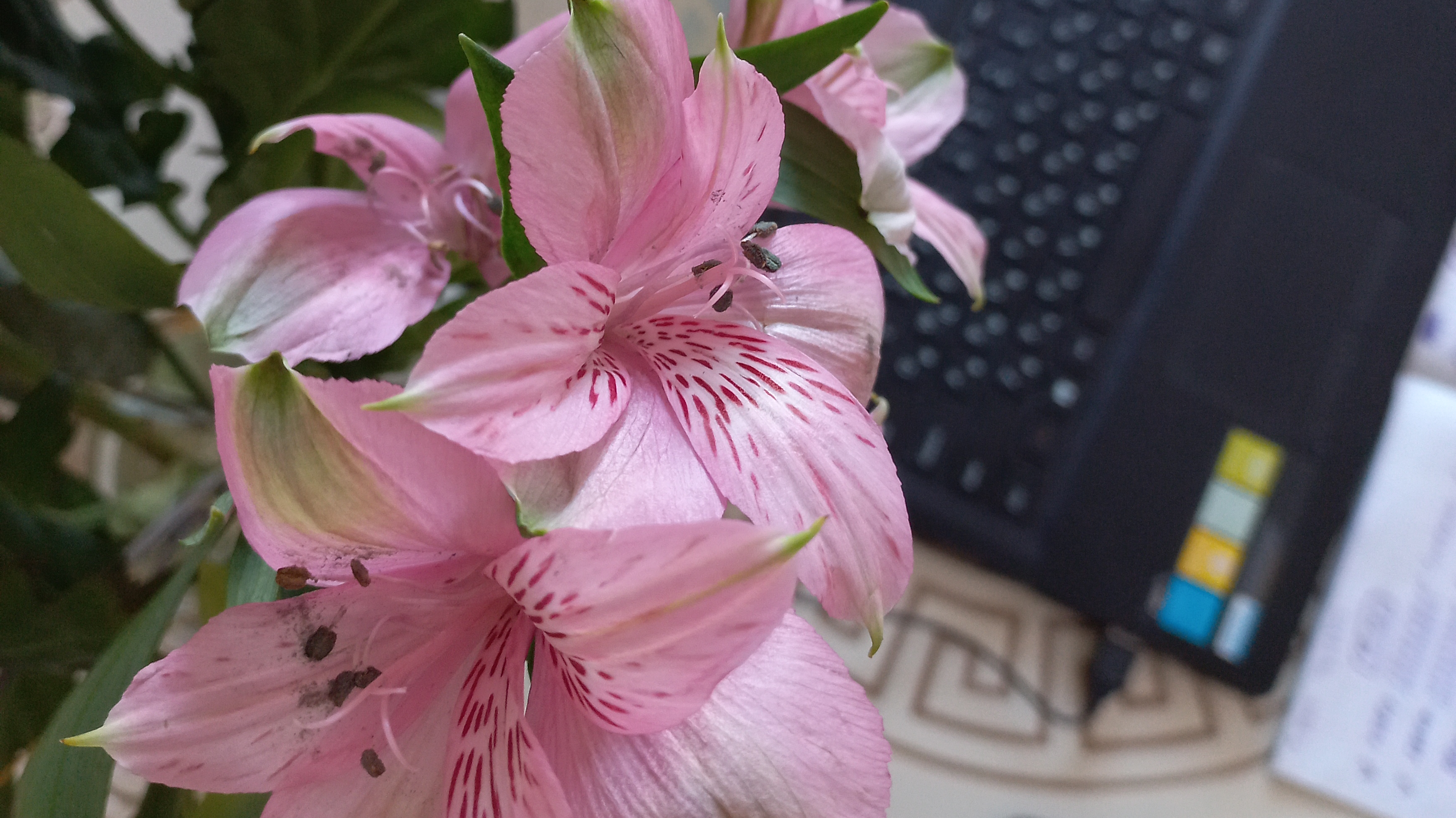 Влог 9-15.03.26  Хочу купить новую кухню.