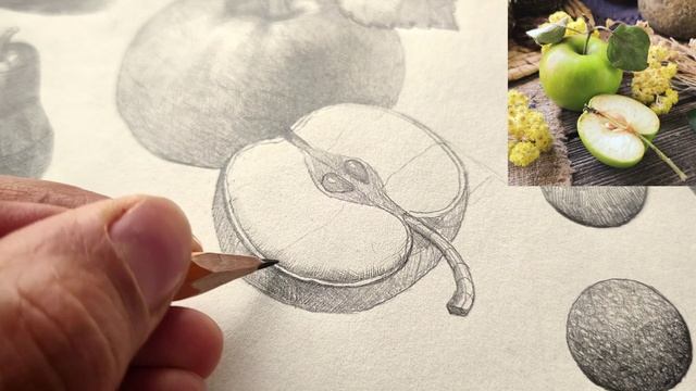 Хотите рисовать реалистично? Пошаговый урок по рисованию яблока
