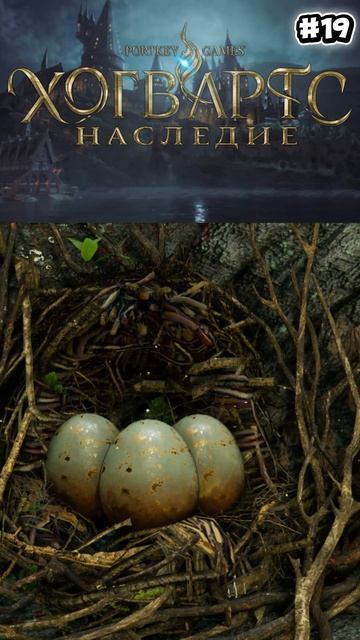 Hogwarts Legacy Прохождение #19