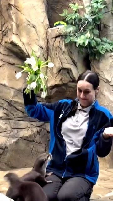 Выдру поздравили с 8 Марта