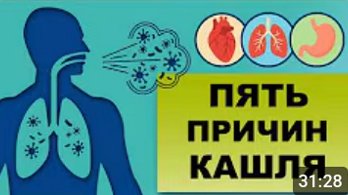ОТКУДА ПРИХОДИТ КАШЕЛЬ И КАК ЕГО ЛЕЧИТЬ?