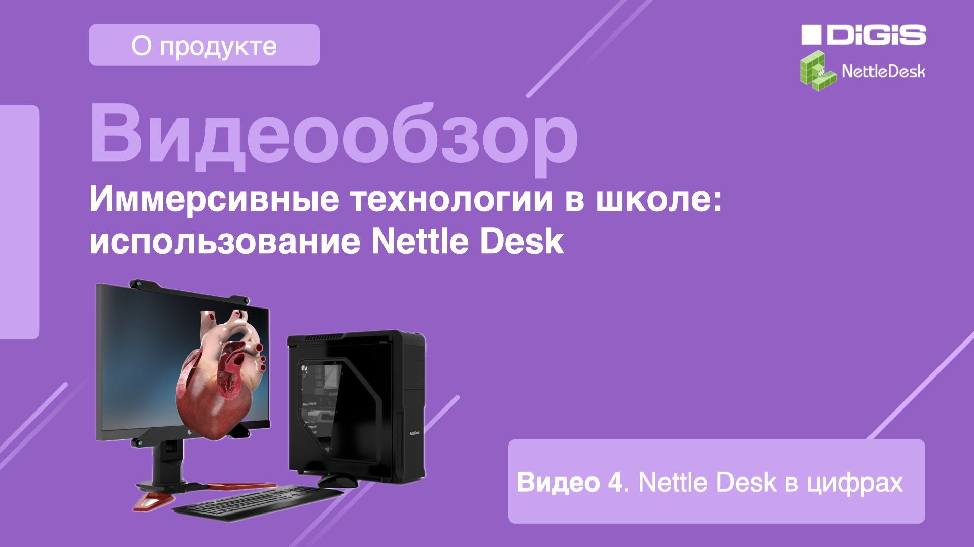 4. Nettle Desk в цифрах